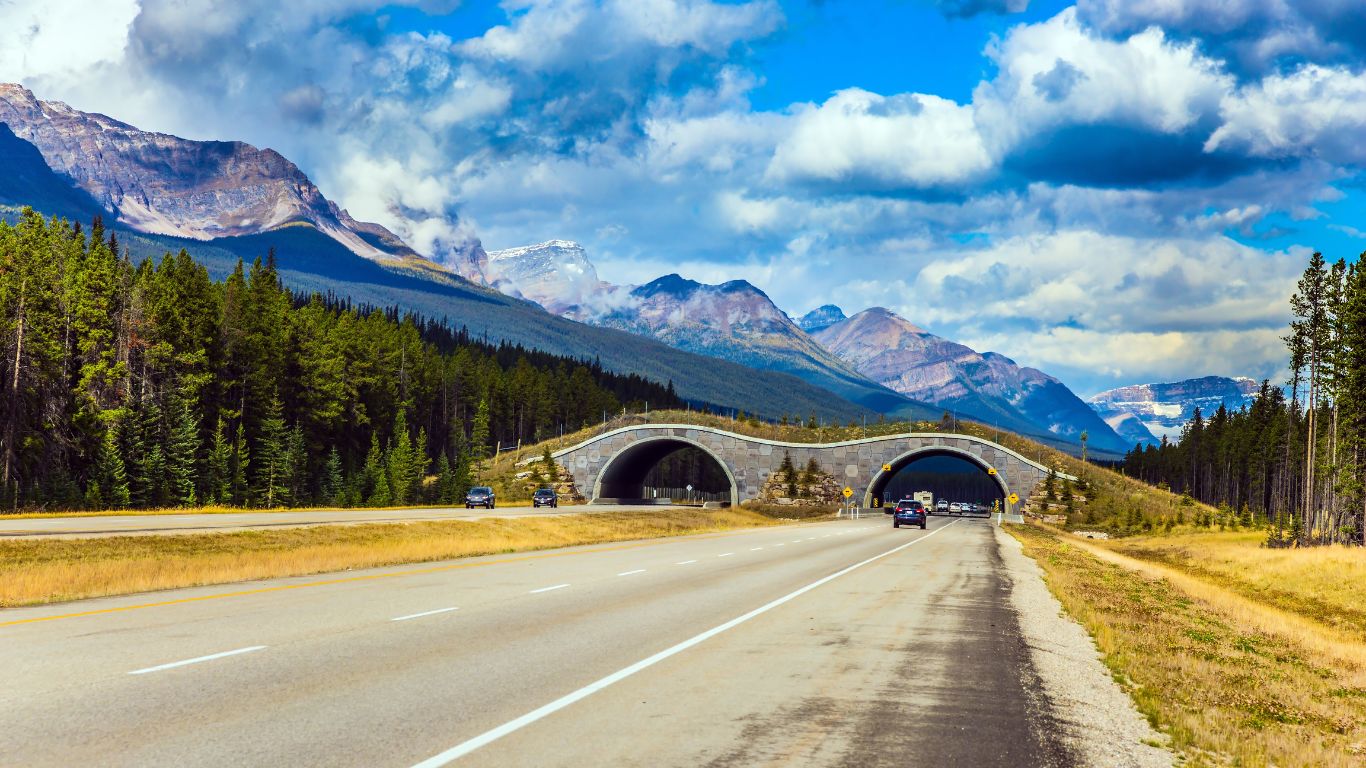 Merge into these data: the numbers on Canada’s roads and road trips - Statistics Canada
